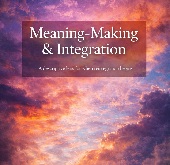 Meaning-Making & Integration – Life.Understood.